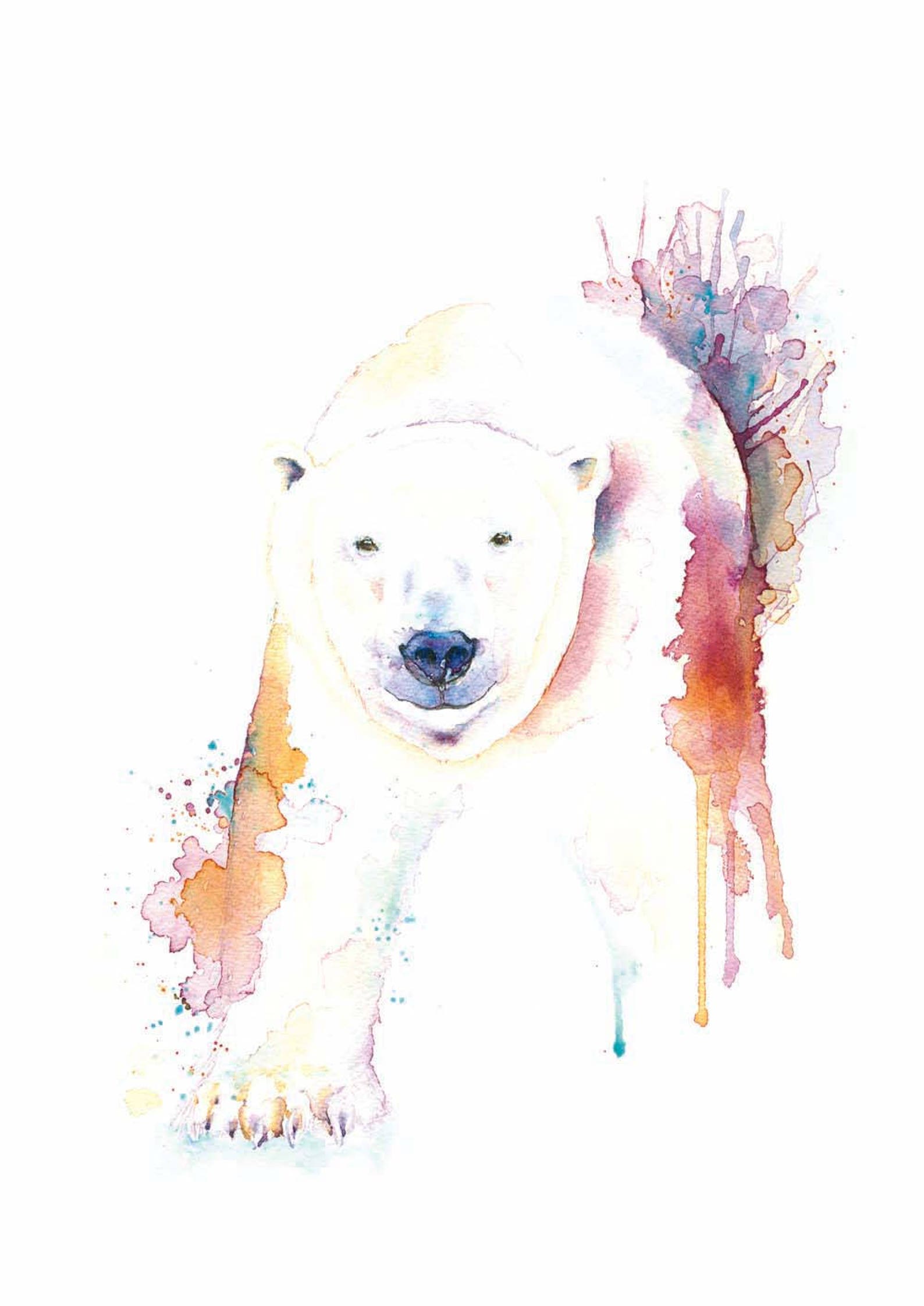 Polar Bear Art Print Polar Bear Illustration Polar Bear - Etsy UK