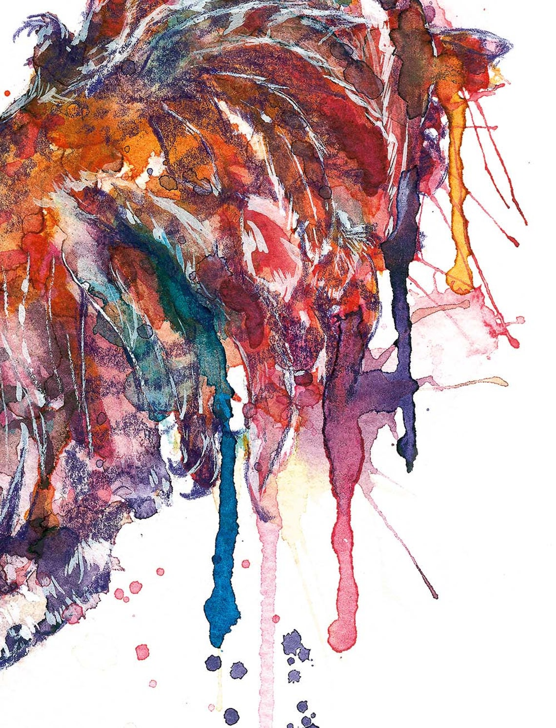 Cockerel Water Colour Print Cockerel Watercolour Painting Print ...