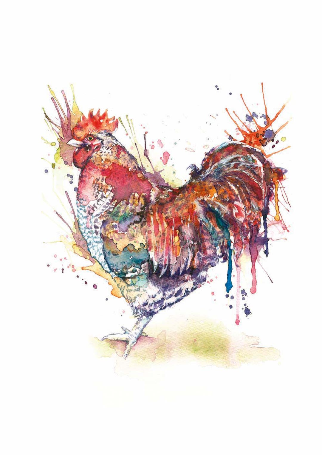 Cockerel Water Colour Print Cockerel Watercolour Painting Print ...