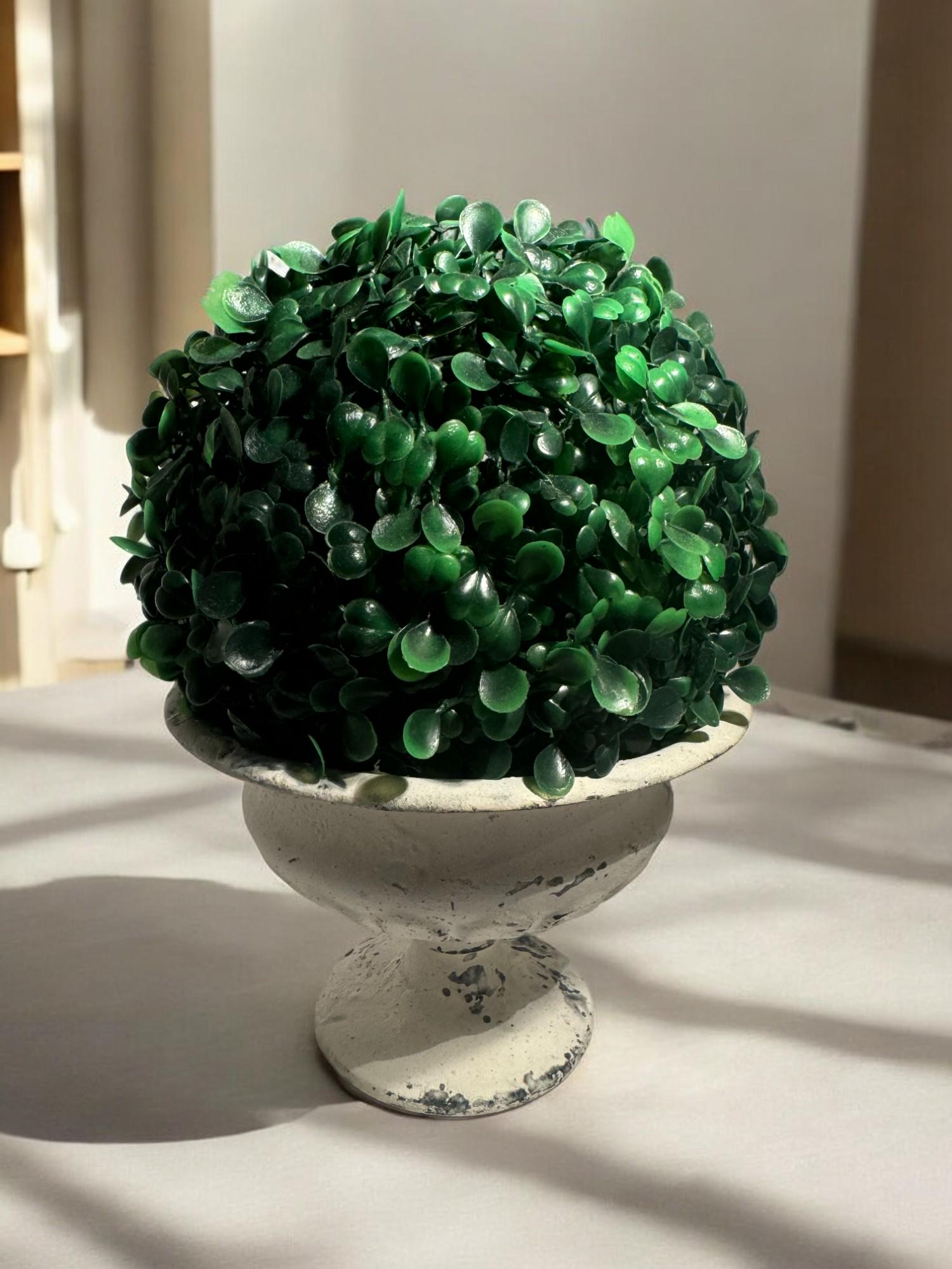 Boxwood Topiary Arrangement in White Base, Medium Topiary Ball, Topiary ...