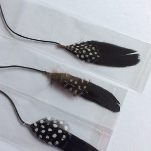 Feathered Hair Clips Decorative Accessory or Crafting Item 4 Available ...