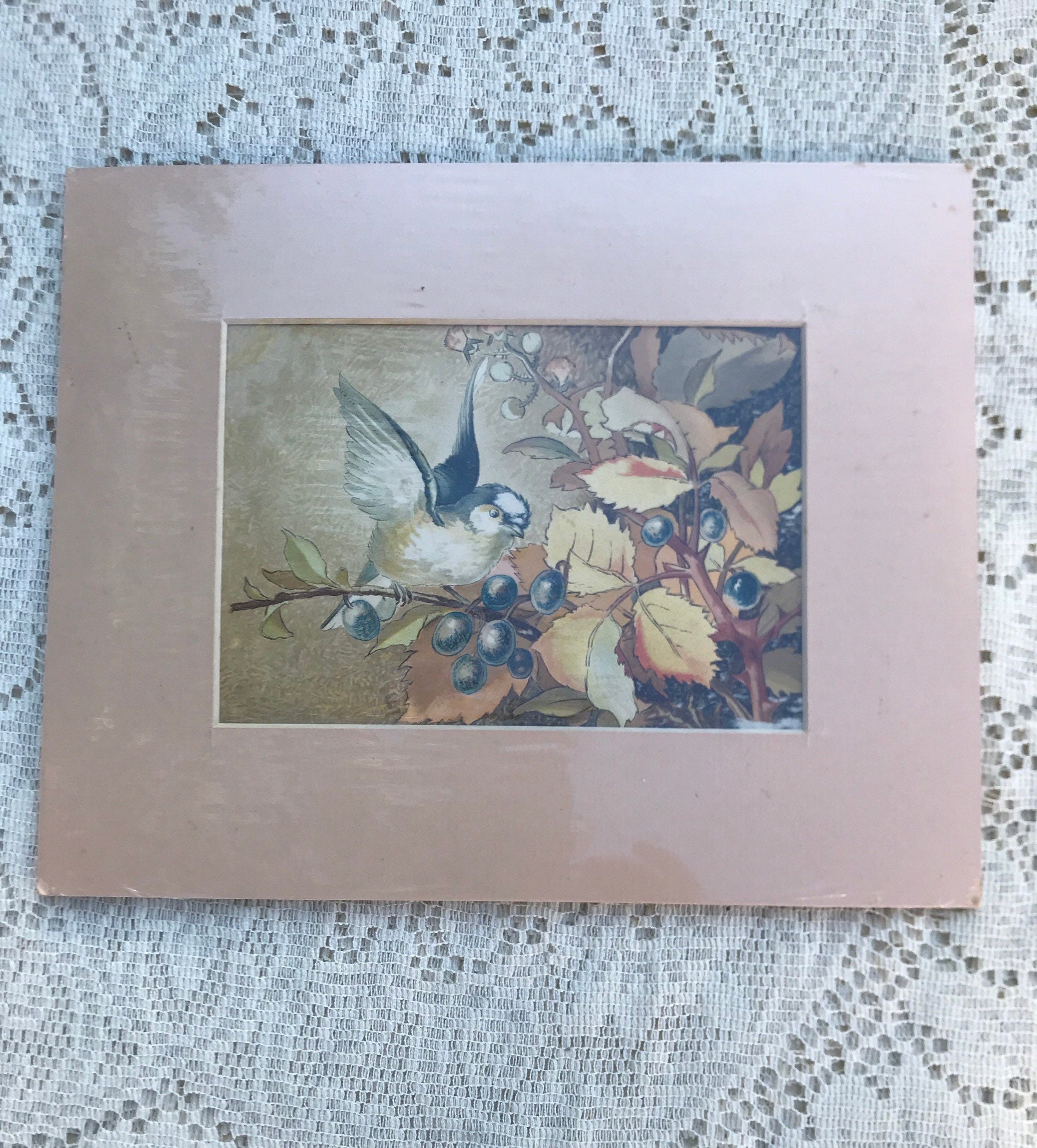 Chromolithograph Prints From 1884 “china Painting” by Florence Lewis ...