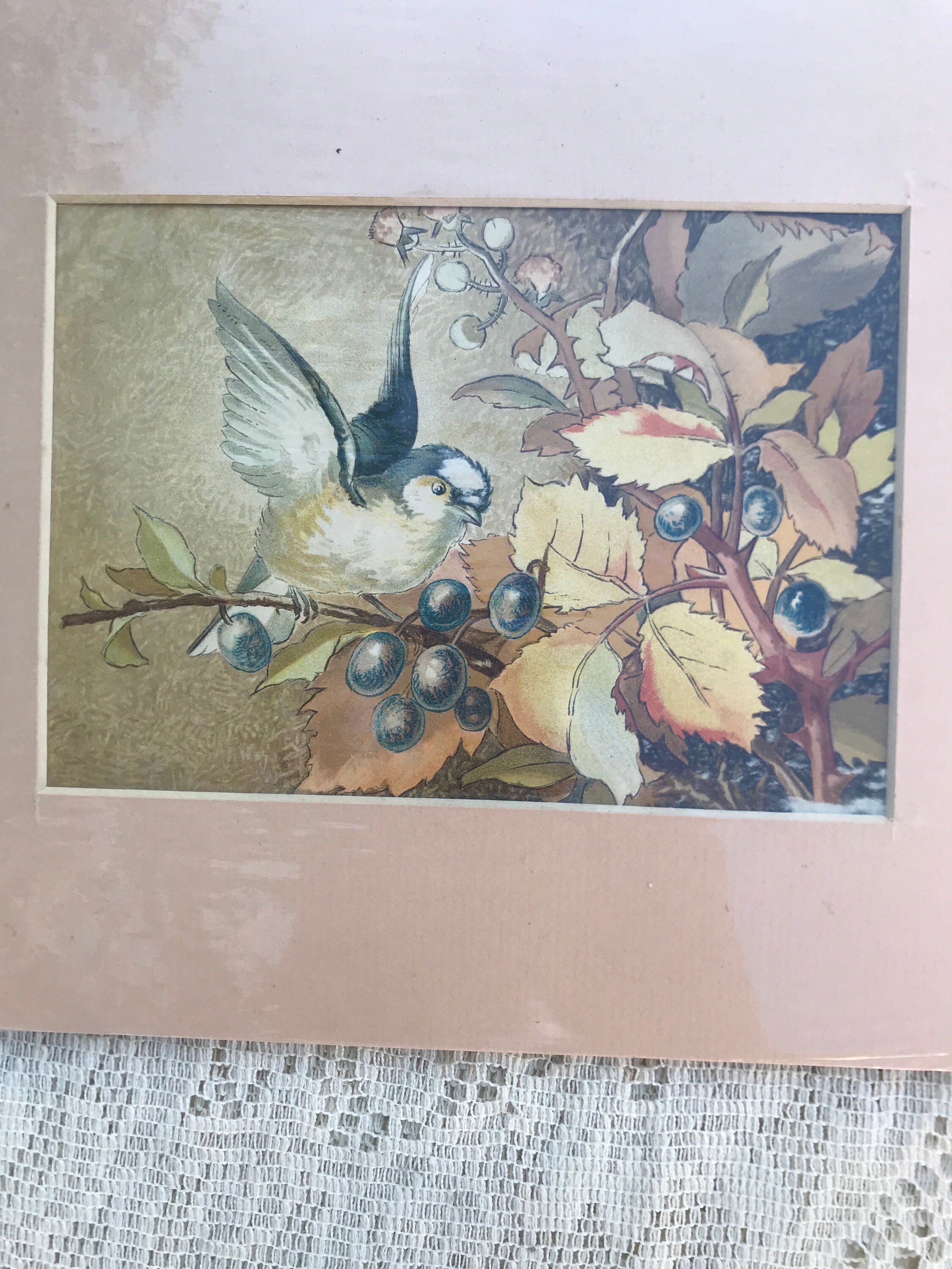 Chromolithograph Prints from 1884 China Painting by Florence | Etsy