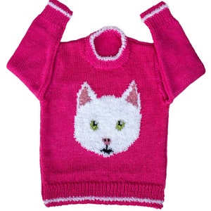 Children's Cat Head Motif Sweater Knitting Pattern - With Raglan ...