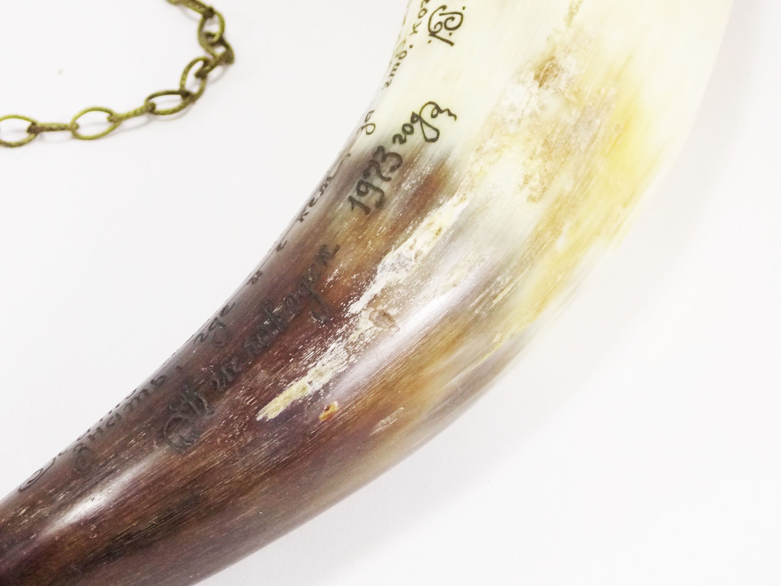 Viking Drinking Horn Medieval Cup Alcohol Cup Natural Horn | Etsy