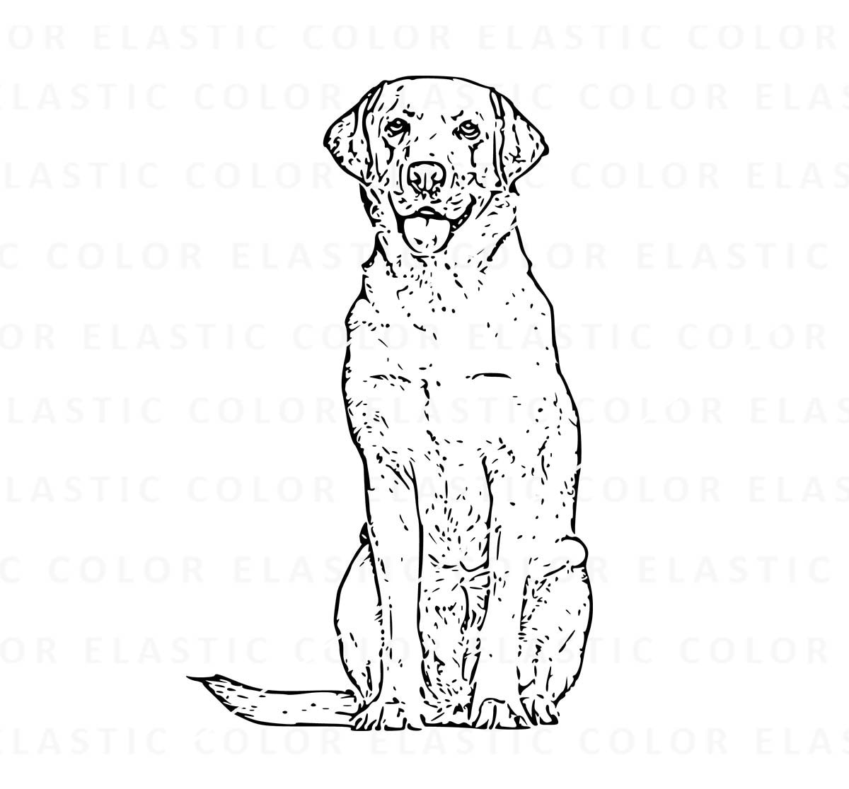 Sitting Lab Dog Outline