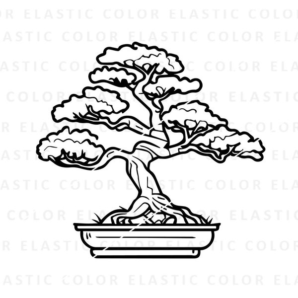 Bonsai Tree Jpg Svg - Etsy