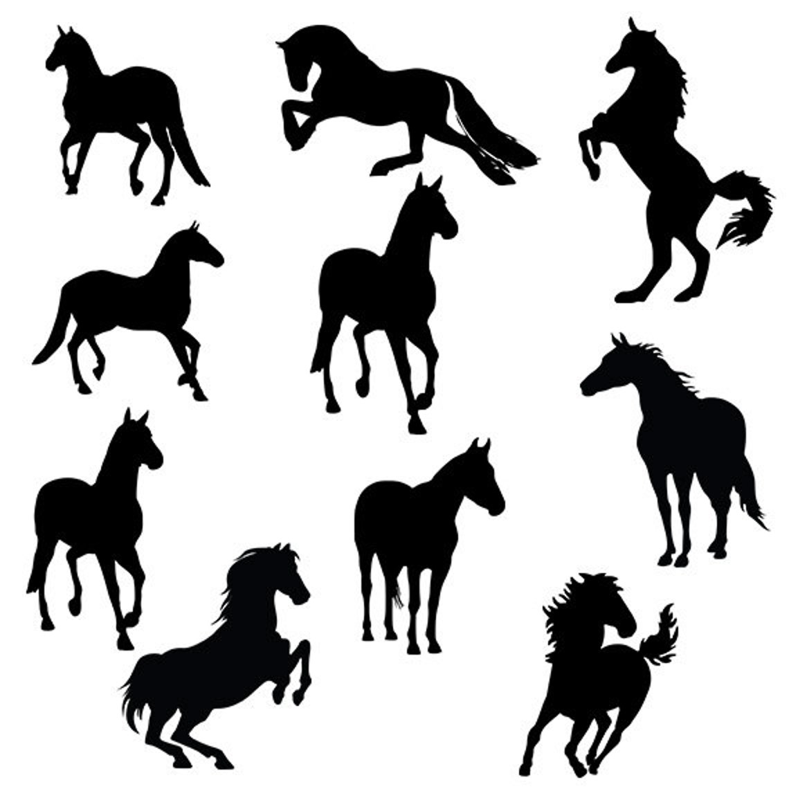 Pferd-Svg-Kontur-Pack Pferde-Vektor-Clipart digitaler | Etsy Schweiz