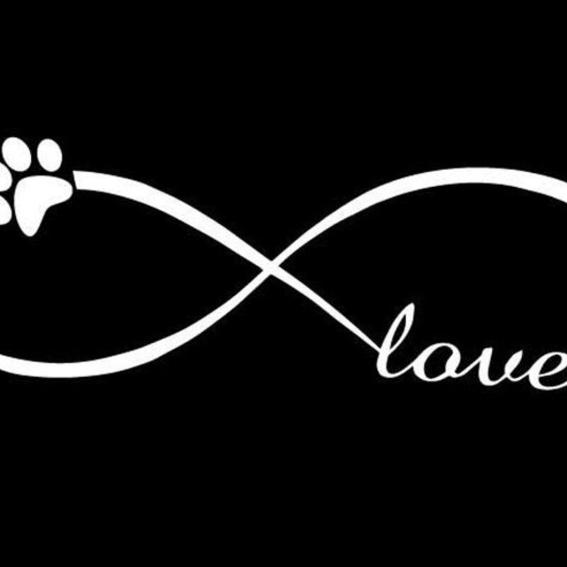 Infinity Paw Svg - Etsy