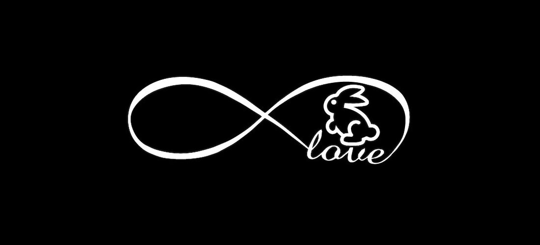 Infinity Love Rabbit Pet Vinyl Decal, Car Window, Doors Bumper Laptop ...