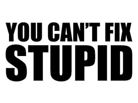 You Can't Fix Stupid Jdm Funny Humor Sticker Vinyl Decal | Etsy