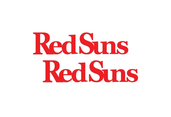 Redsuns Initial D Decal RX7 Vinyl Sticker JDM Racing Car | Etsy