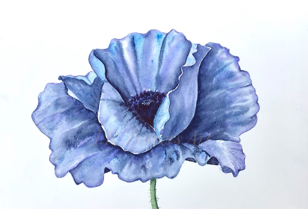 Blue Poppy Watercolor Print, Nature Art, Organic Wall Art, Wall Art ...