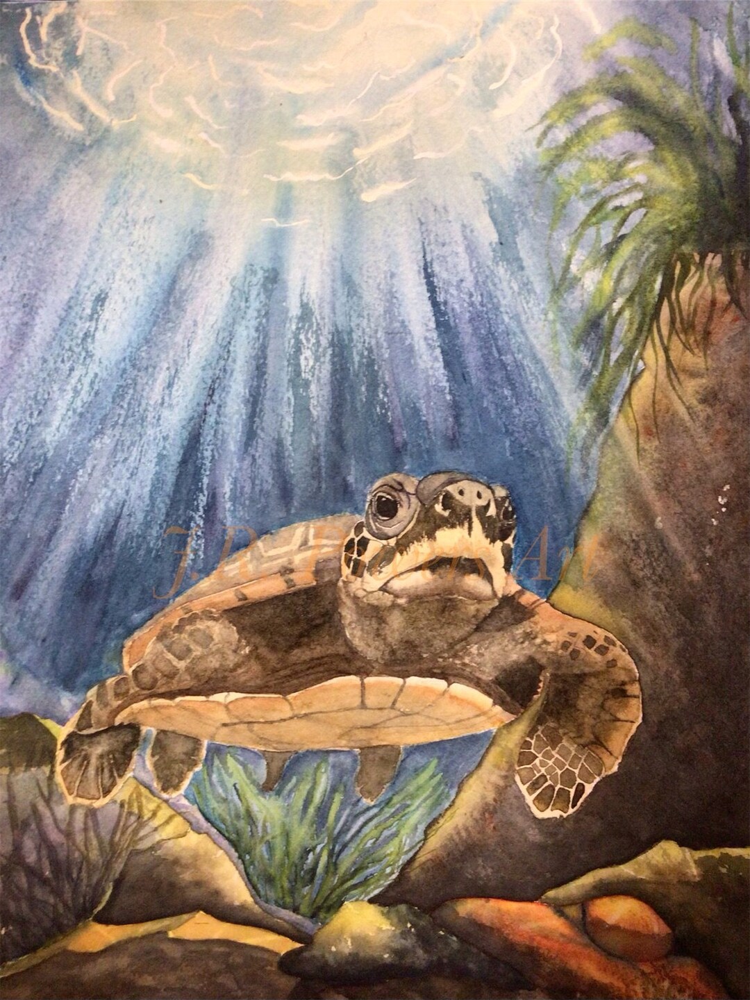 Sea Turtle Watercolor Print, Sea Life Art, Nautical Sea Life Print ...