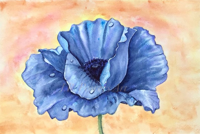Blue Poppy Watercolor Print, Nature Art, Organic Wall Art, Wall Art ...