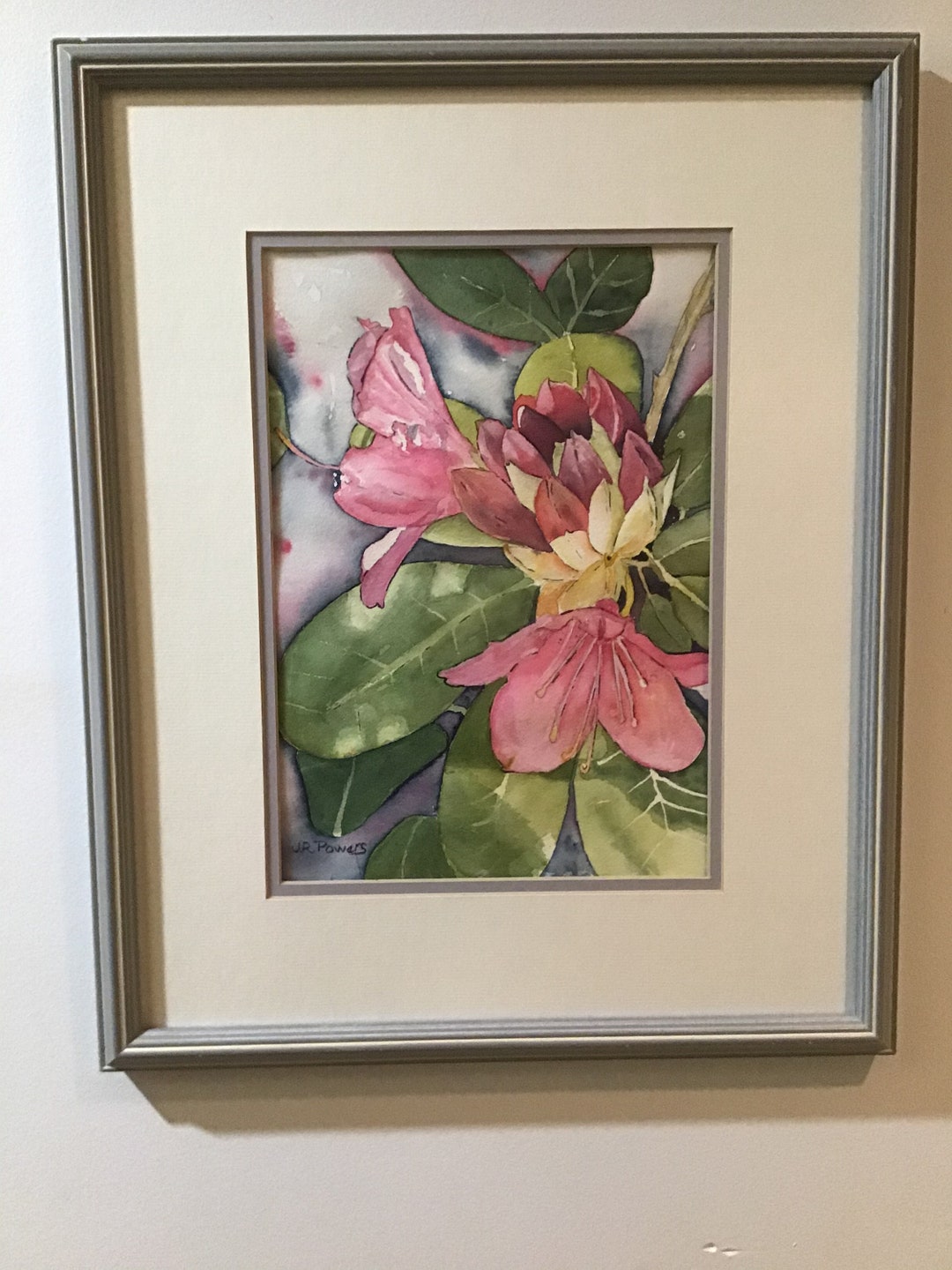 Pink Rhododendron Watercolor Print Rhodie Art Rhododendron - Etsy