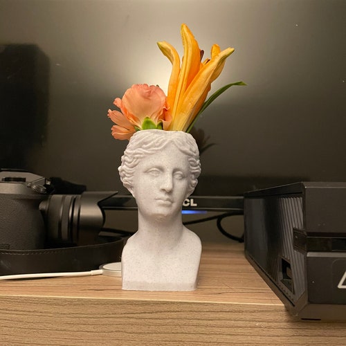 Rising Venus Greek Goddess Aphrodite Statue Birth of Aphrodite - Etsy