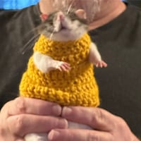 Rat Dress for Rat Crochet Dress for Pet Rat Sweater for Fancy Rat ...