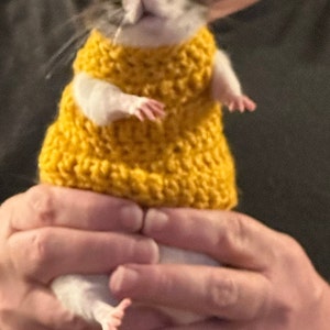 Cutie Rat Sweater Pattern - Etsy