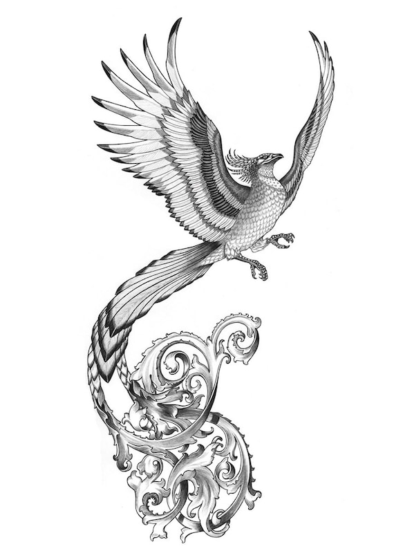 Phoenix Print | Etsy