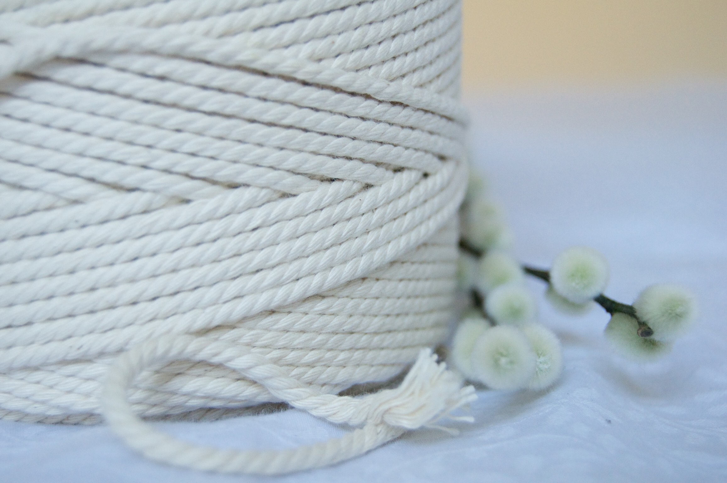 3mm x 240m Twisted Cotton Cord / Macrame Cord / Cotton Rope | Etsy