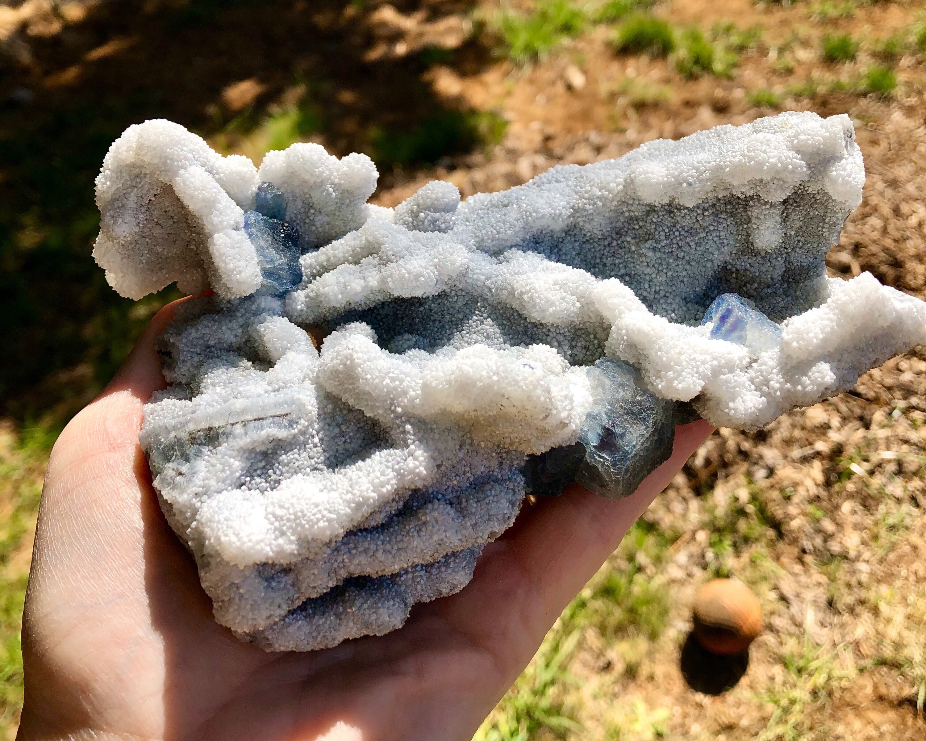 654g Blue Cubic Fluorite On White Druzy Stalactic Chalcedony Crystal ...