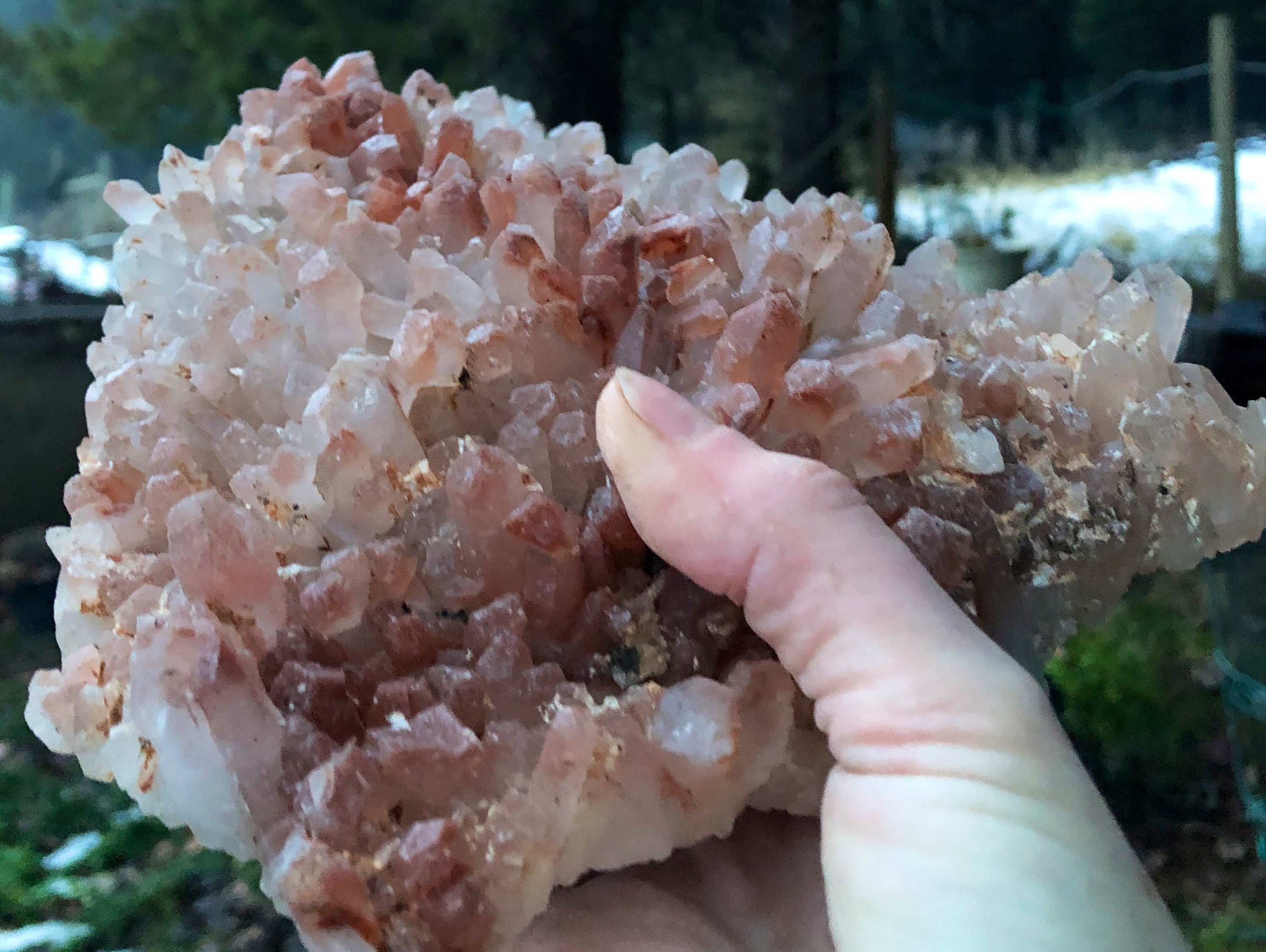 2758g XL Quartz Crystal Cluster Plate Display Specimen