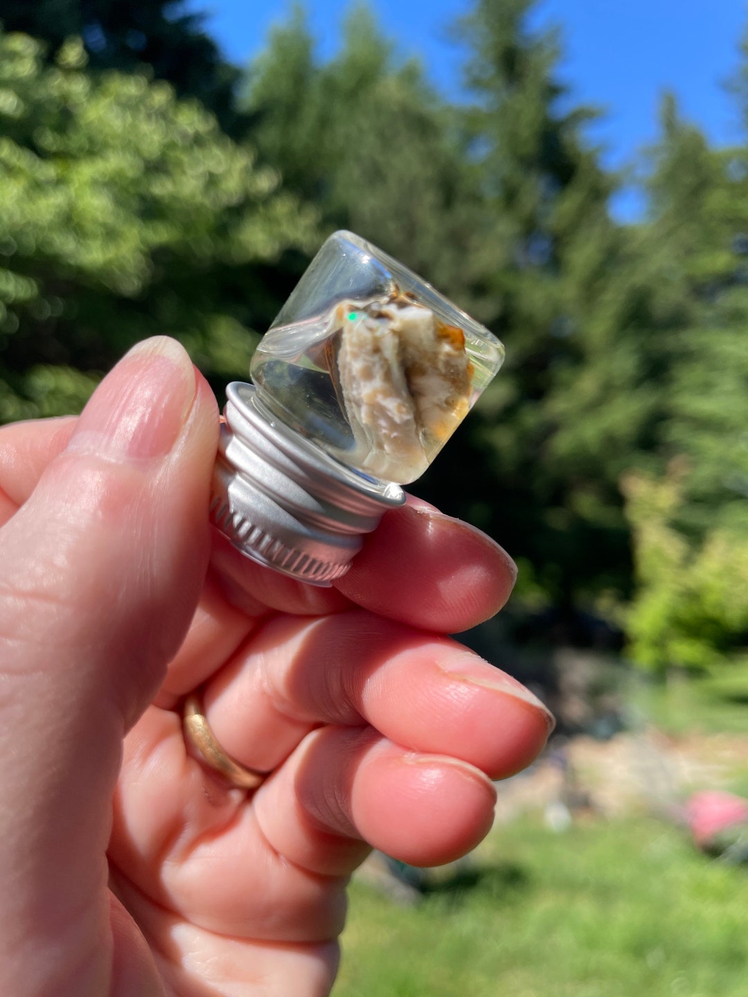 1.42g Virgin Valley Wood Replacement Opal Display Specimen - Etsy