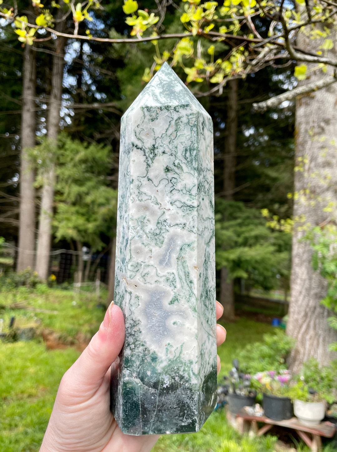 2.9 Lb Tree Agate Obelisk Pillar Tower Point Wand Column - Etsy