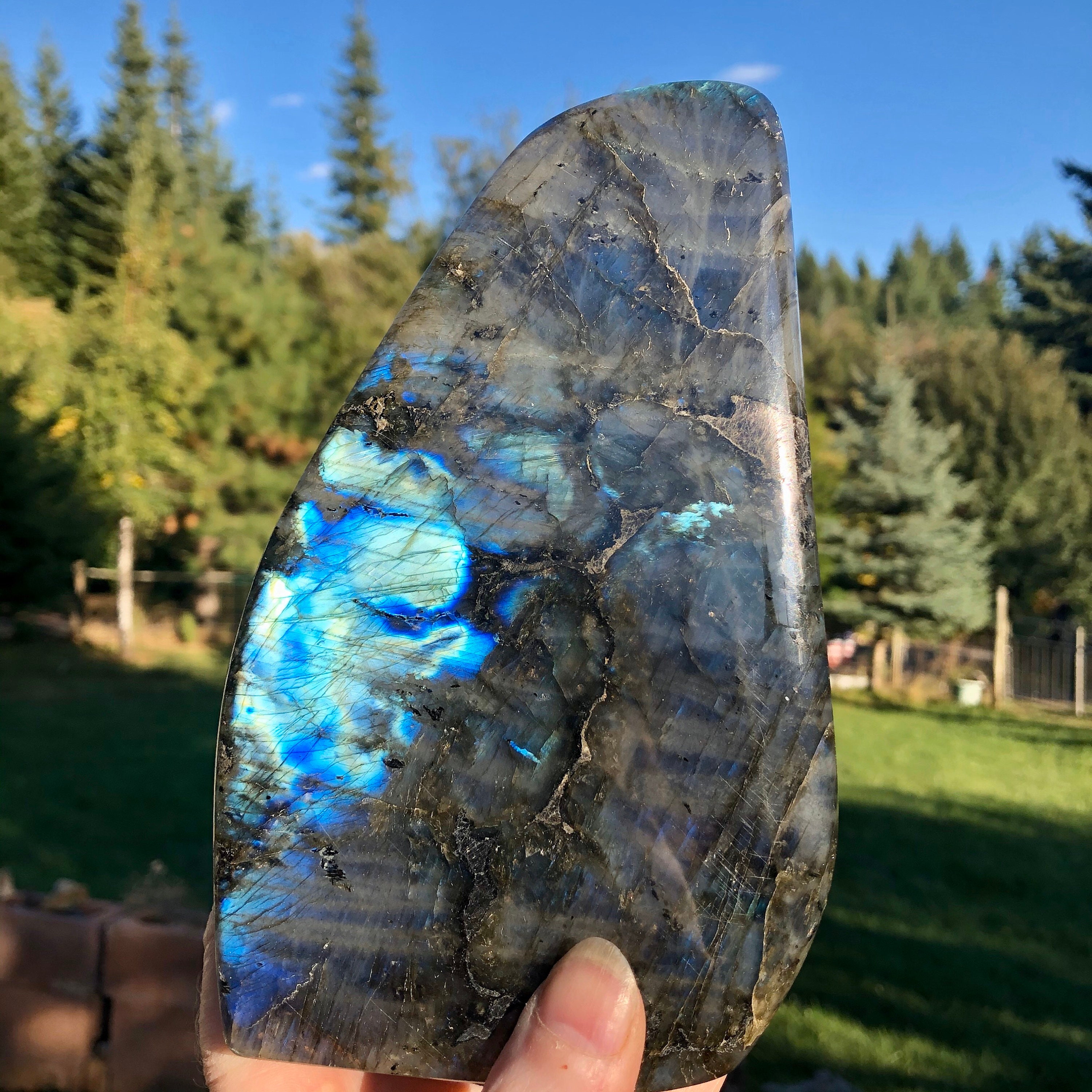 Blue flash Spectralite Labradorite standing freeform specimen