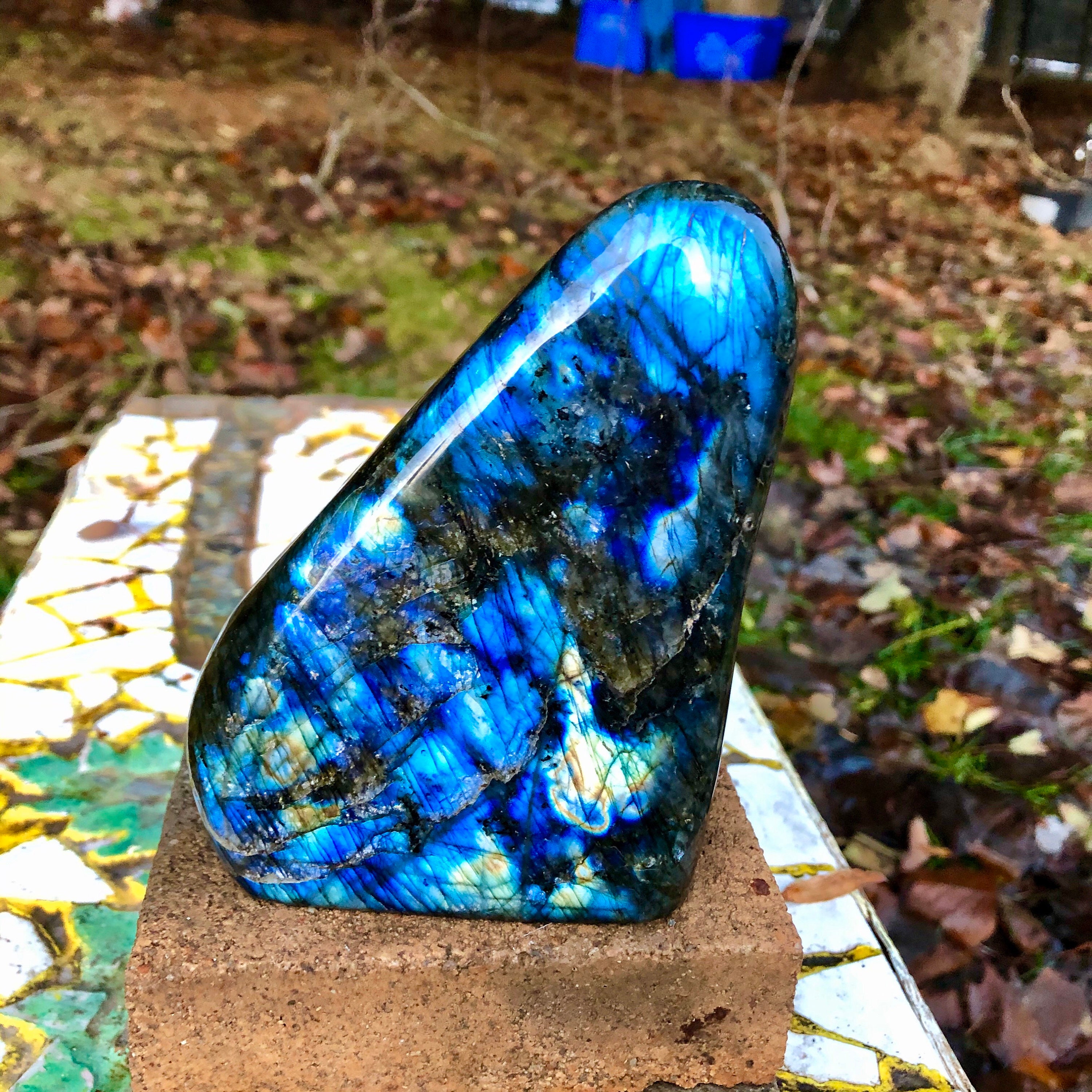 Blue Flash Spectralite Labradorite Standing Freeform Specimen