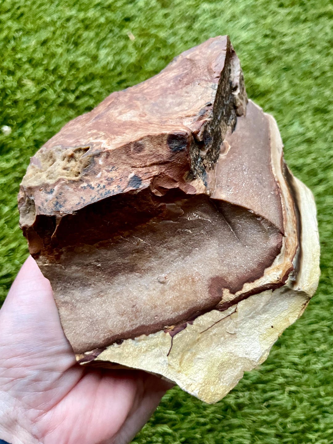 Biggs Picture Jasper Rough Lapidary Mineral Specimen 1.83 Lbs - Etsy