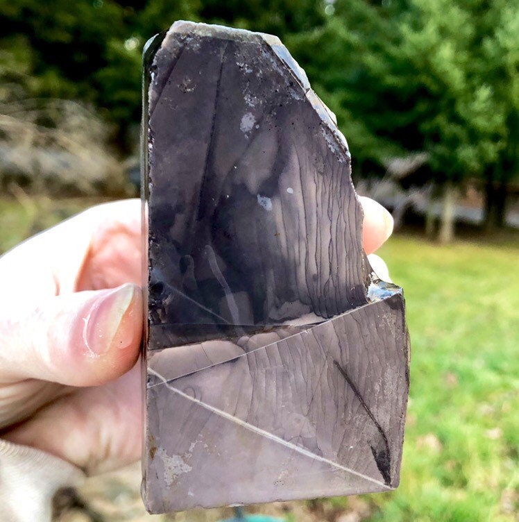 Bruneau Jasper unpolished for lapidary cutting slabs and cabochons