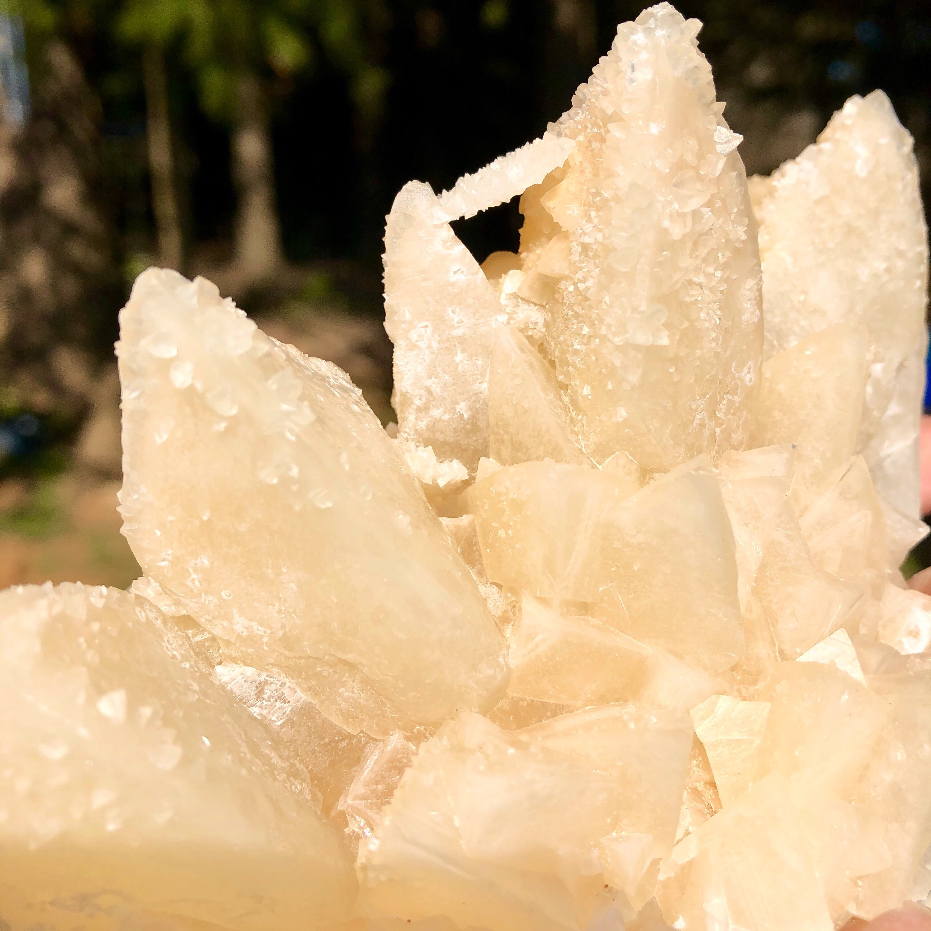 440g Golden Yellow Dogtooth Calcite Crystal Cluster Mineral Display ...