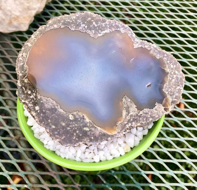 Large Oregon Thunder Egg Half polished for display or Home Decor