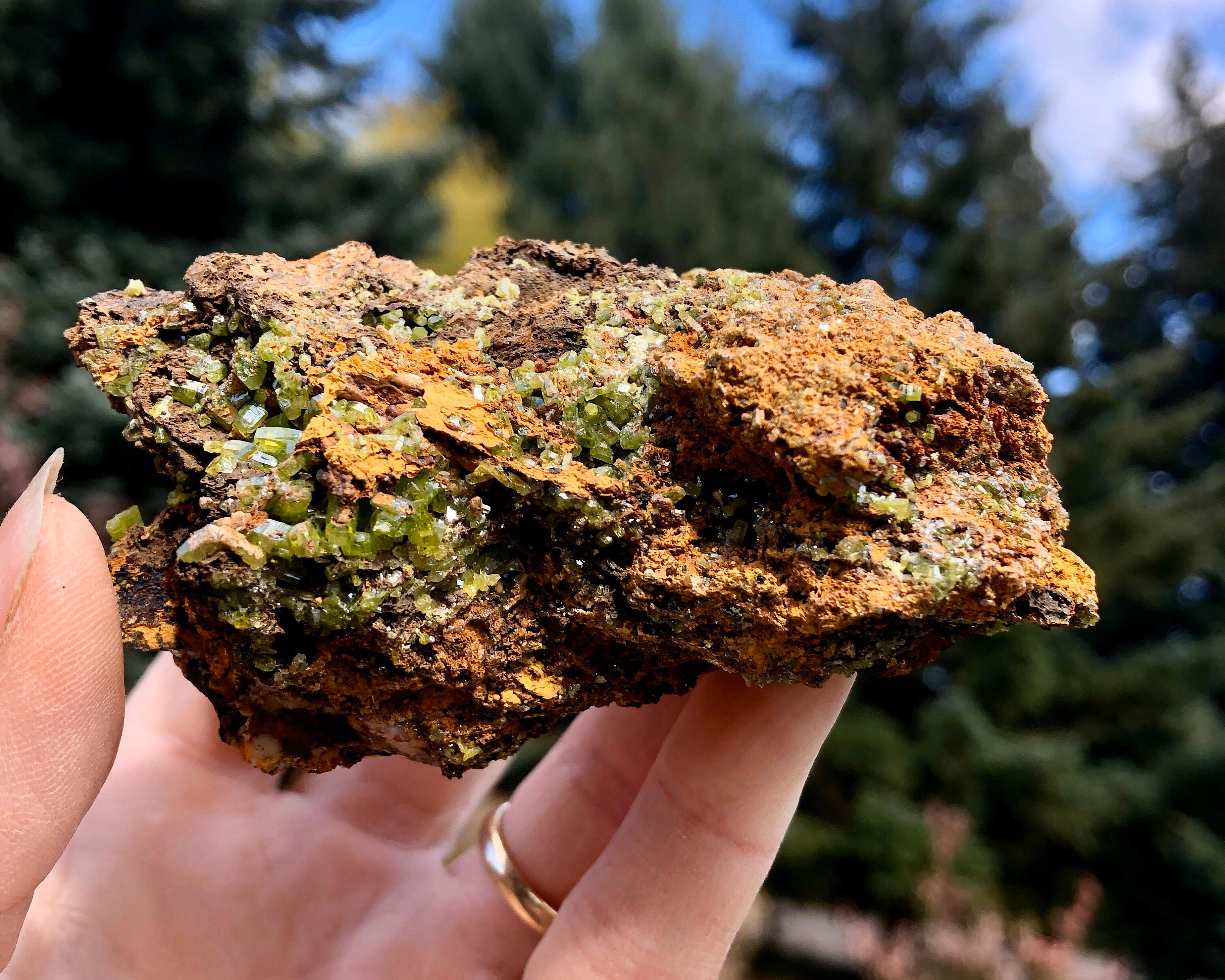 186g Pyromorphite Crystal Cluster Specimen on Matrix