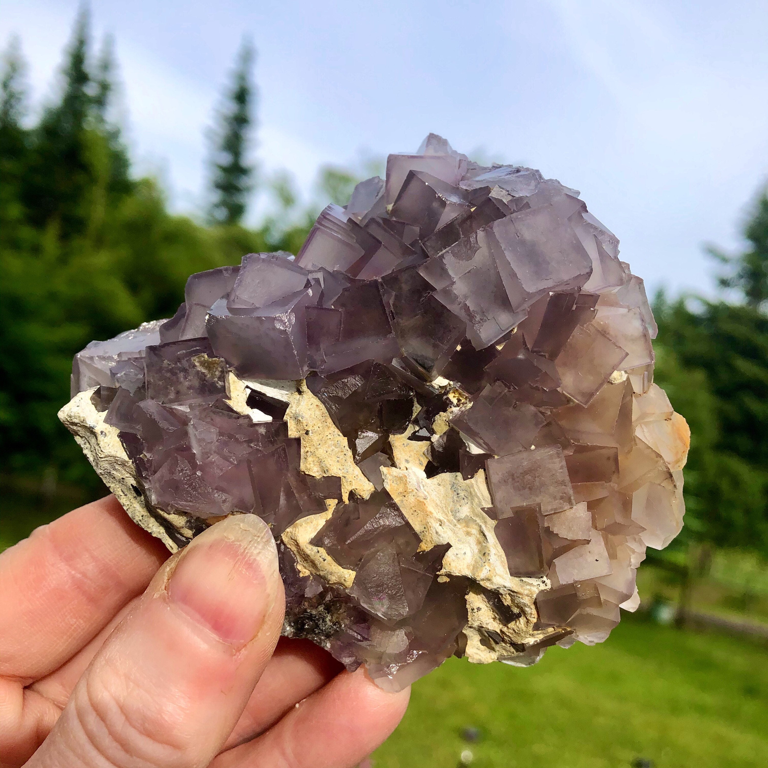 310g Purple Cubic Fluorite Crystal Cluster Mineral Display Specimen