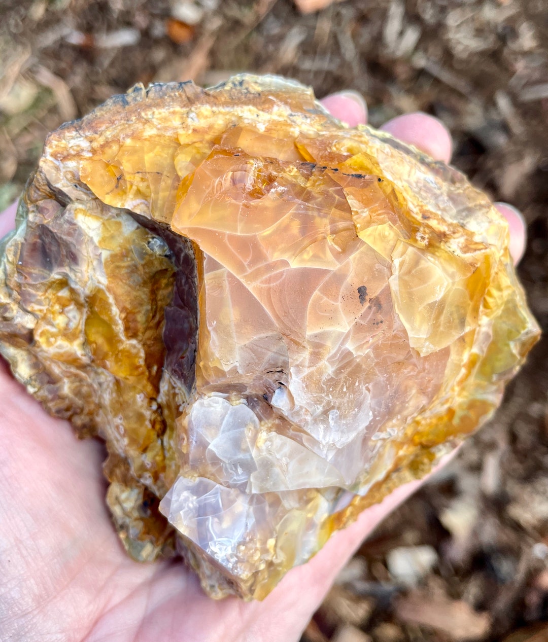 1.08 Lb Old Stock Oregon Opal on Rhyolite Jasper Mineral Display ...