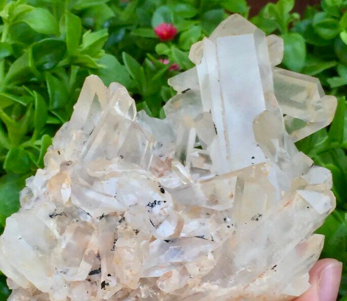 Clear Quartz Crystal Cluster Plate Specimen