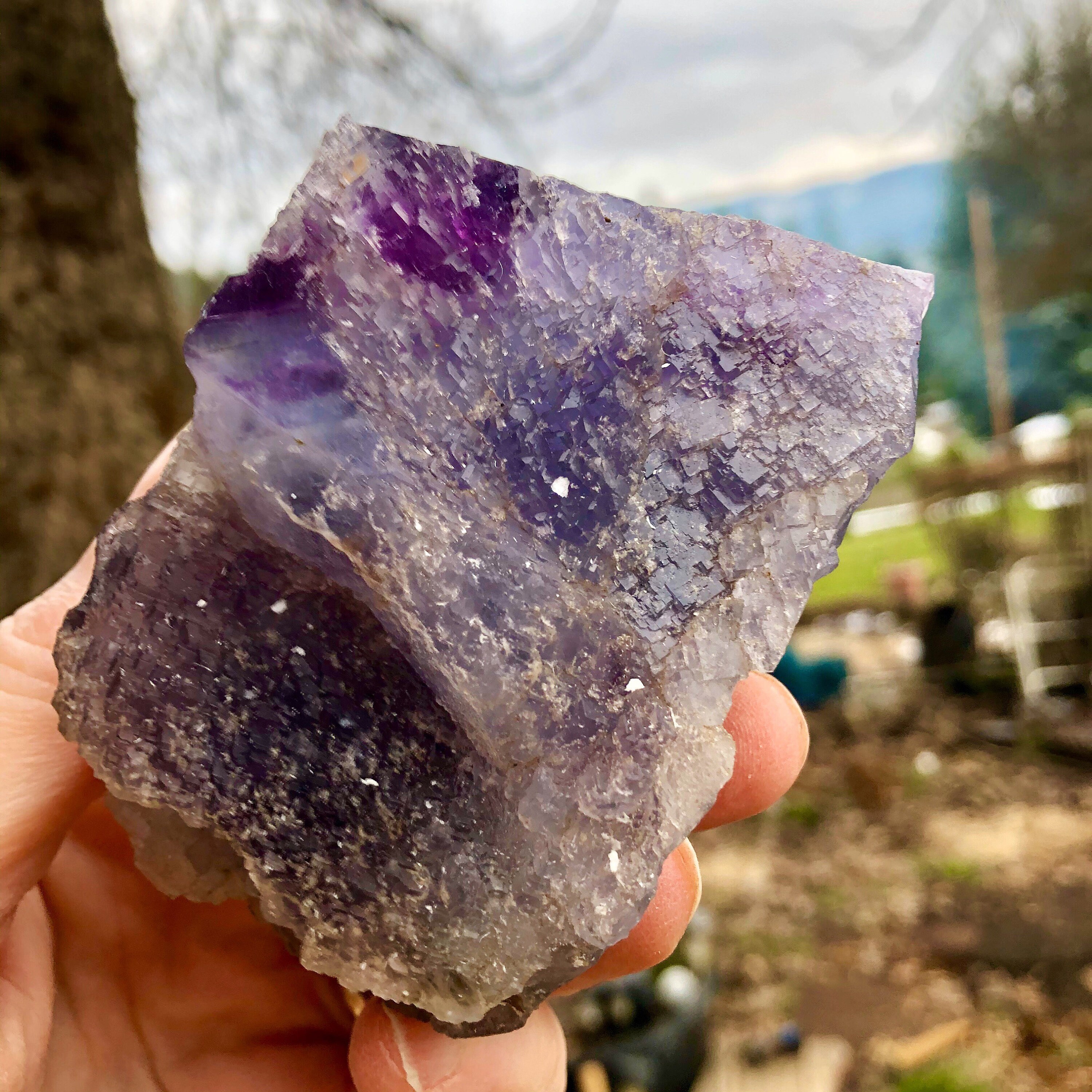 370g Purple Ladder Type Fluorite Crystal Cluster Specimen with Pyrite