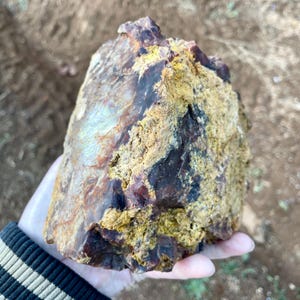 4.53 Lb Oregon Picture Jasper Rough Lapidary Mineral Specimen - Etsy