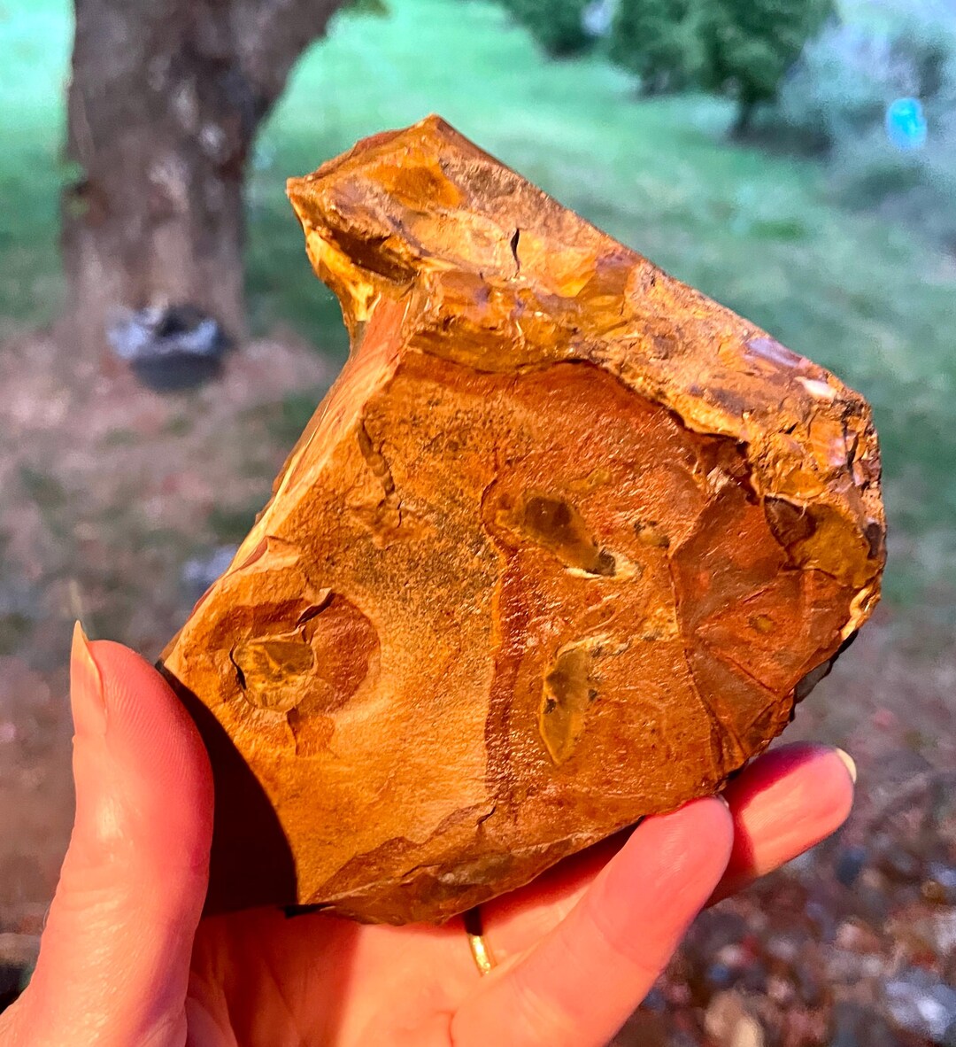 Biggs Picture Jasper Rough Lapidary Mineral Specimen 1.08 Lbs - Etsy