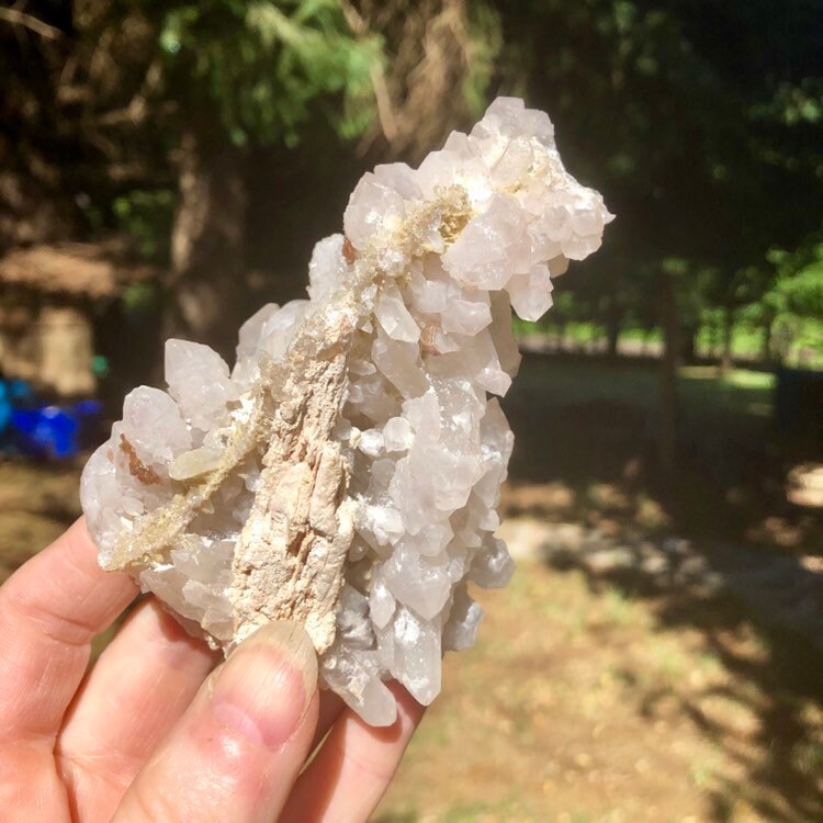 Elestial (Skeletal) Scepter Quartz Crystal Cluster with Chloride Inclusions