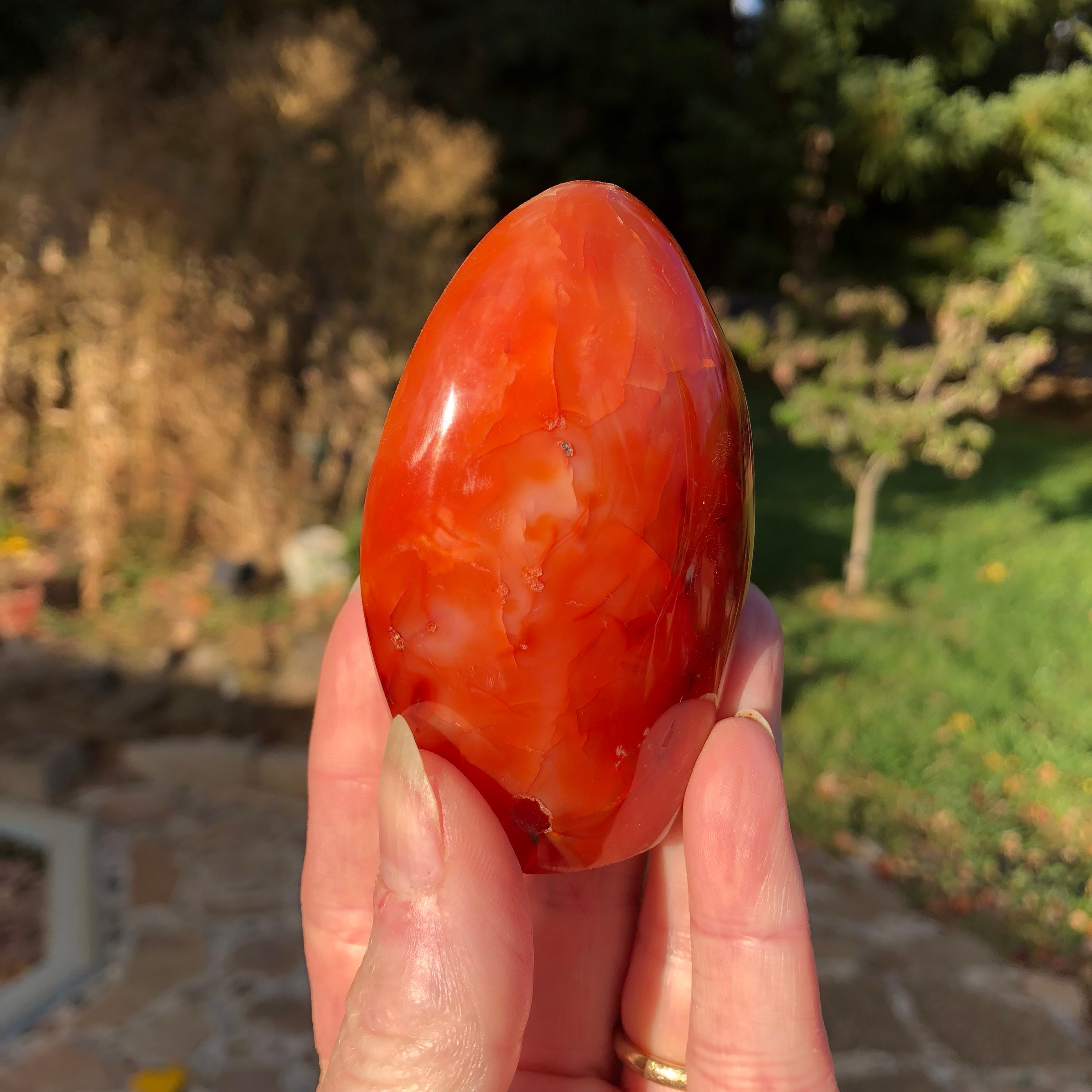 Carnelian Agate Freeform in bright, intense orange colors