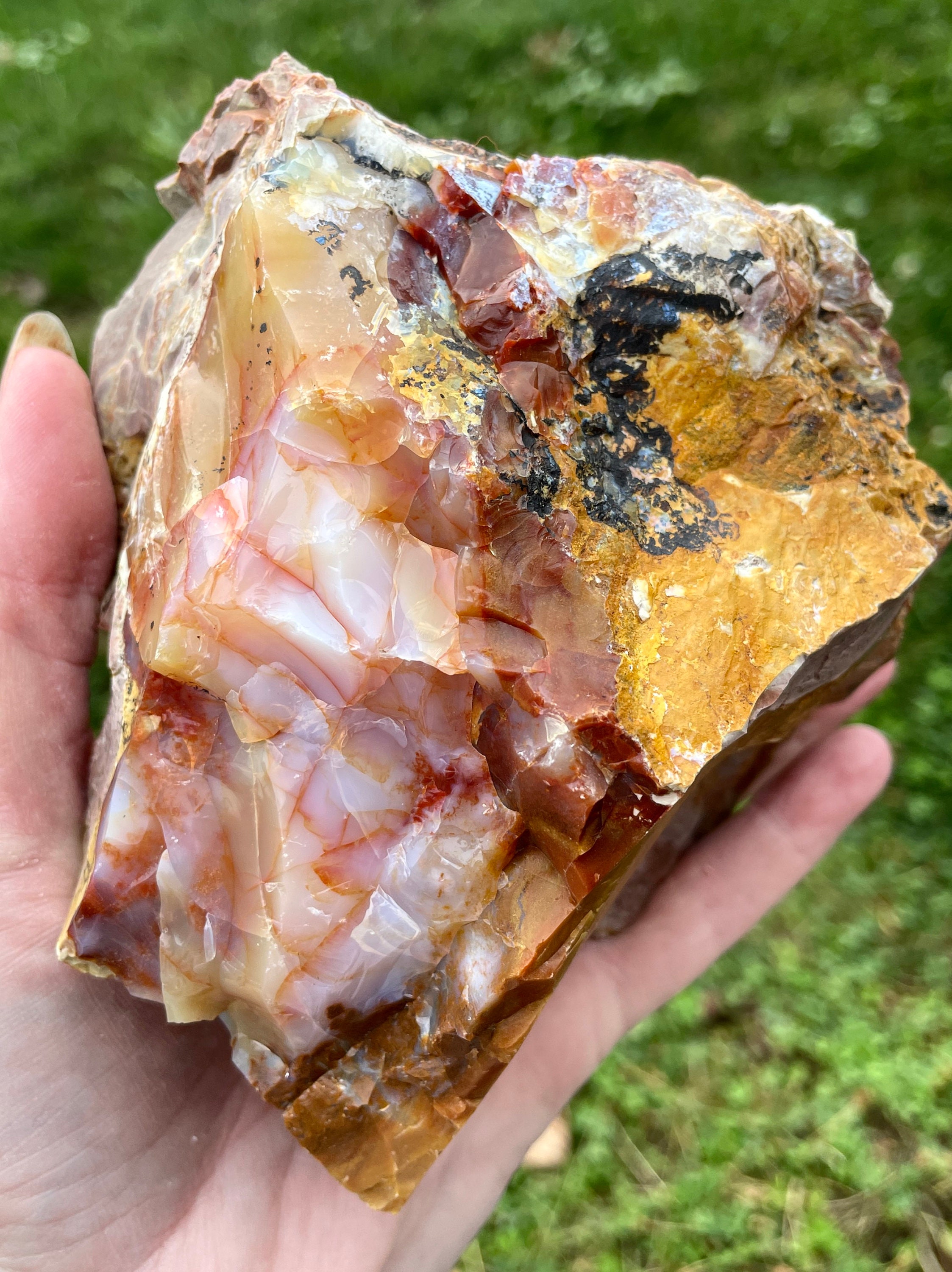 2.77 lb Old Stock Oregon Fire Opal and Rhyolite Jasper Display Specimen