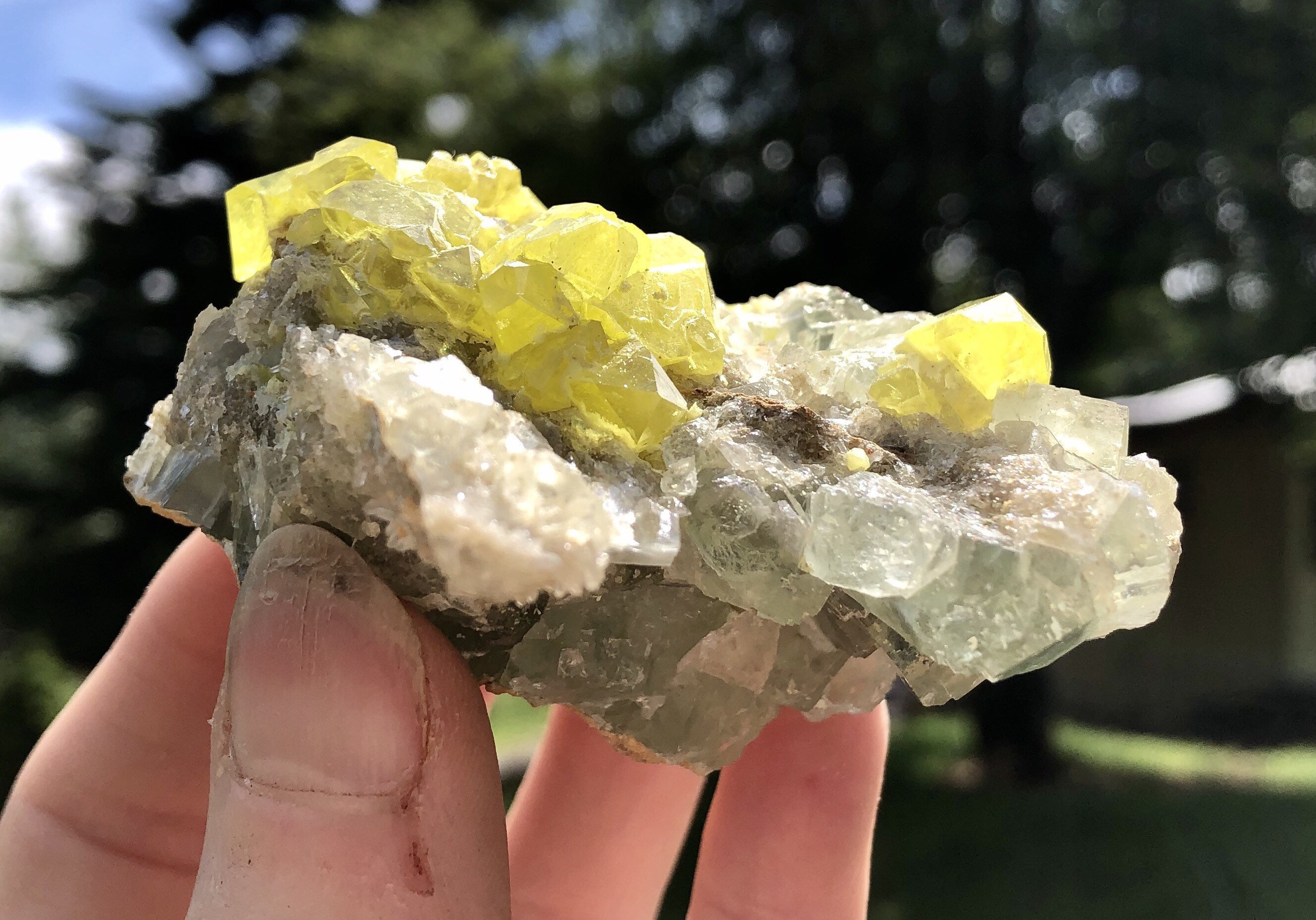 174g Native Sulfur On Light Green Cubic Fluorite Crystal Cluster ...