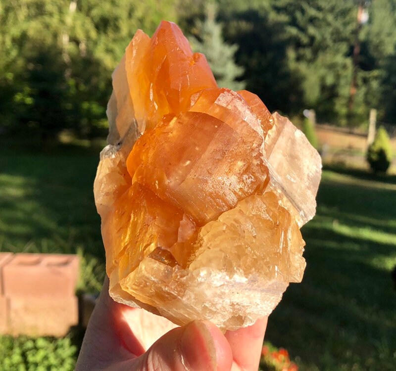 534g Yellow Mushroom Fluorite Crystal Cluster Mineral Specimen