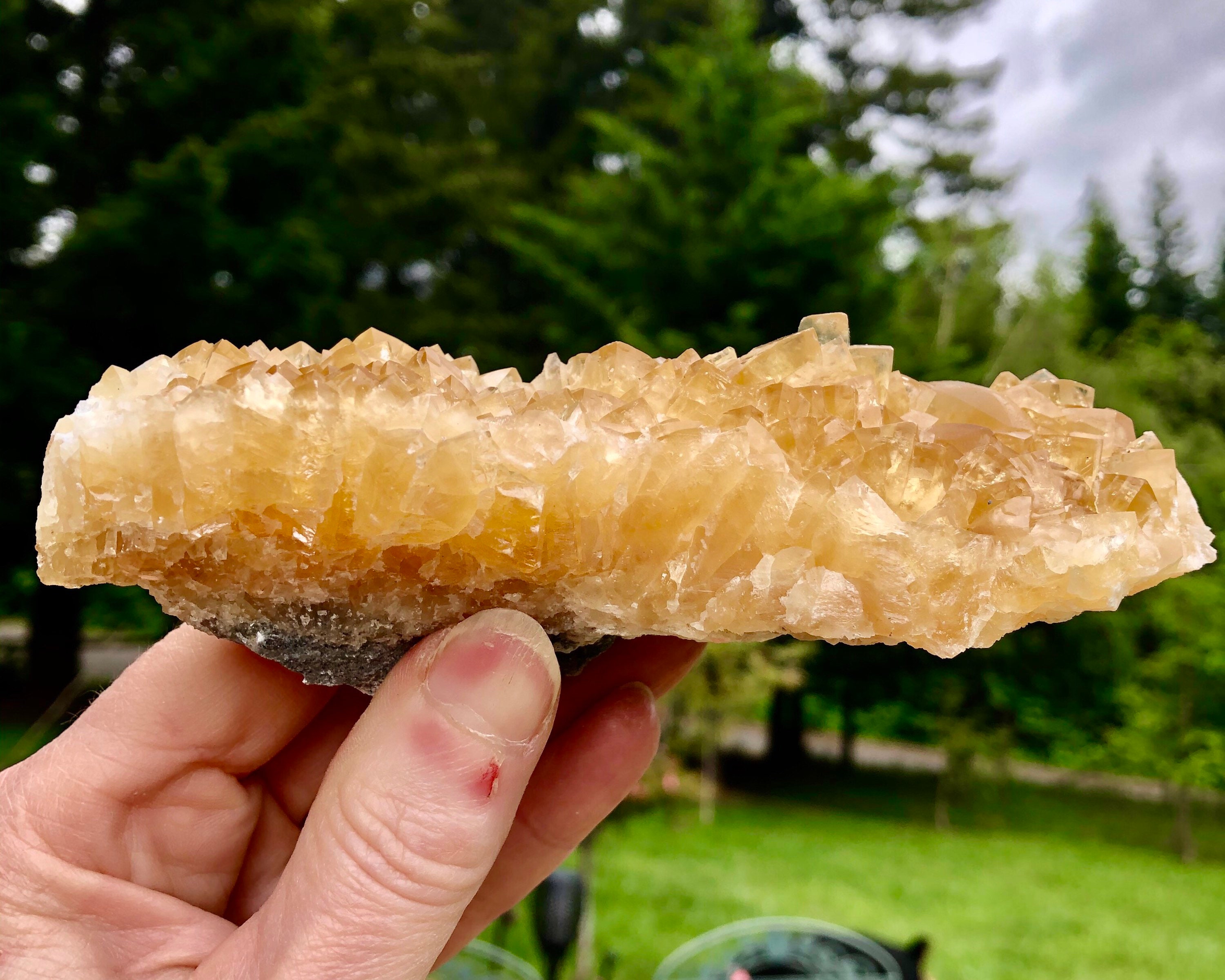360g Golden Yellow Cubic Calcite Crystal Cluster Mineral Display Specimen