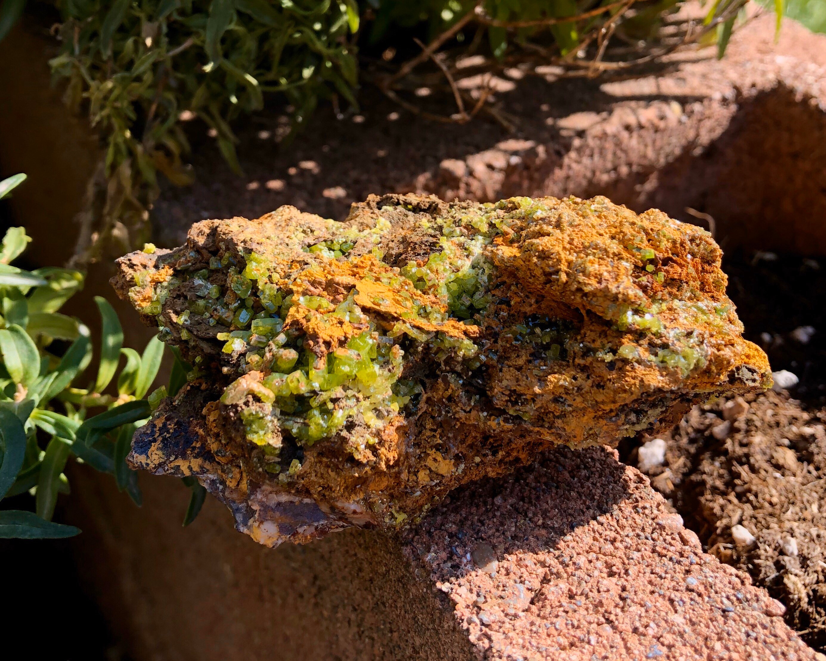 186g Pyromorphite Crystal Cluster Specimen on Matrix