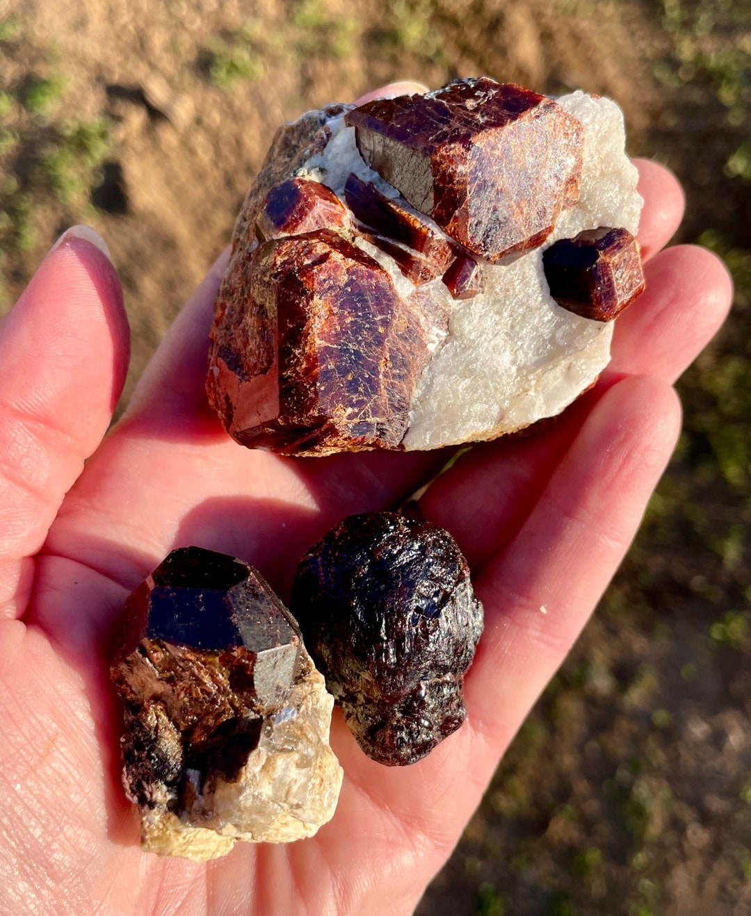 Red Garnet in Matrix Crystal Mineral Display Specimens Set of 3 - Etsy
